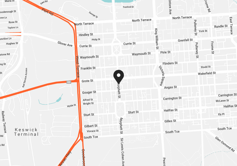 Raise a puppy - Guide Dogs SA/NT