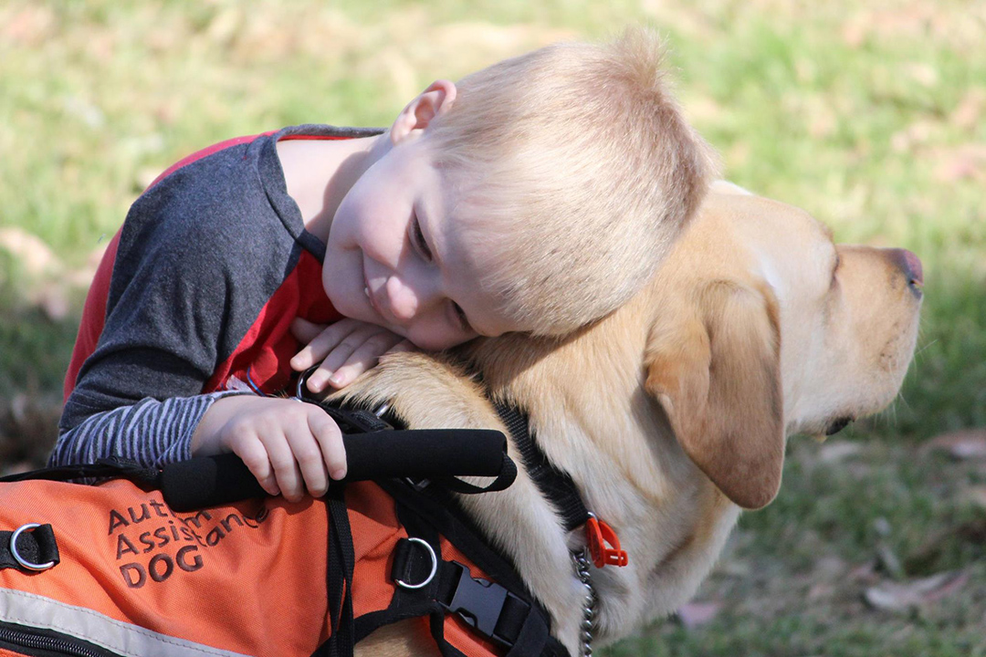 Legal access rights: Lachlan and Zeke - Guide Dogs SA/NT