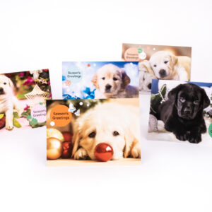 All Products Archives - Guide Dogs SA/NT