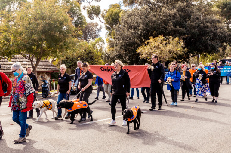 News Archive - Guide Dogs SA/NT